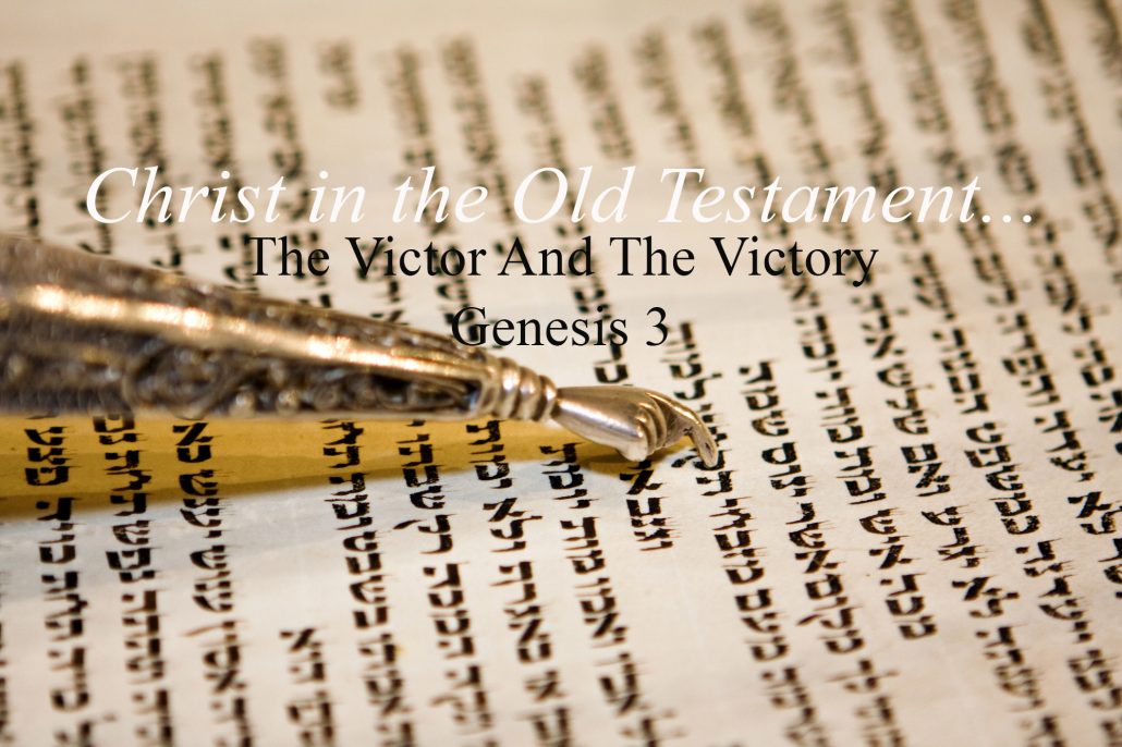 Genesis 3 The Victor And The Victory - Living Hope Bible Church